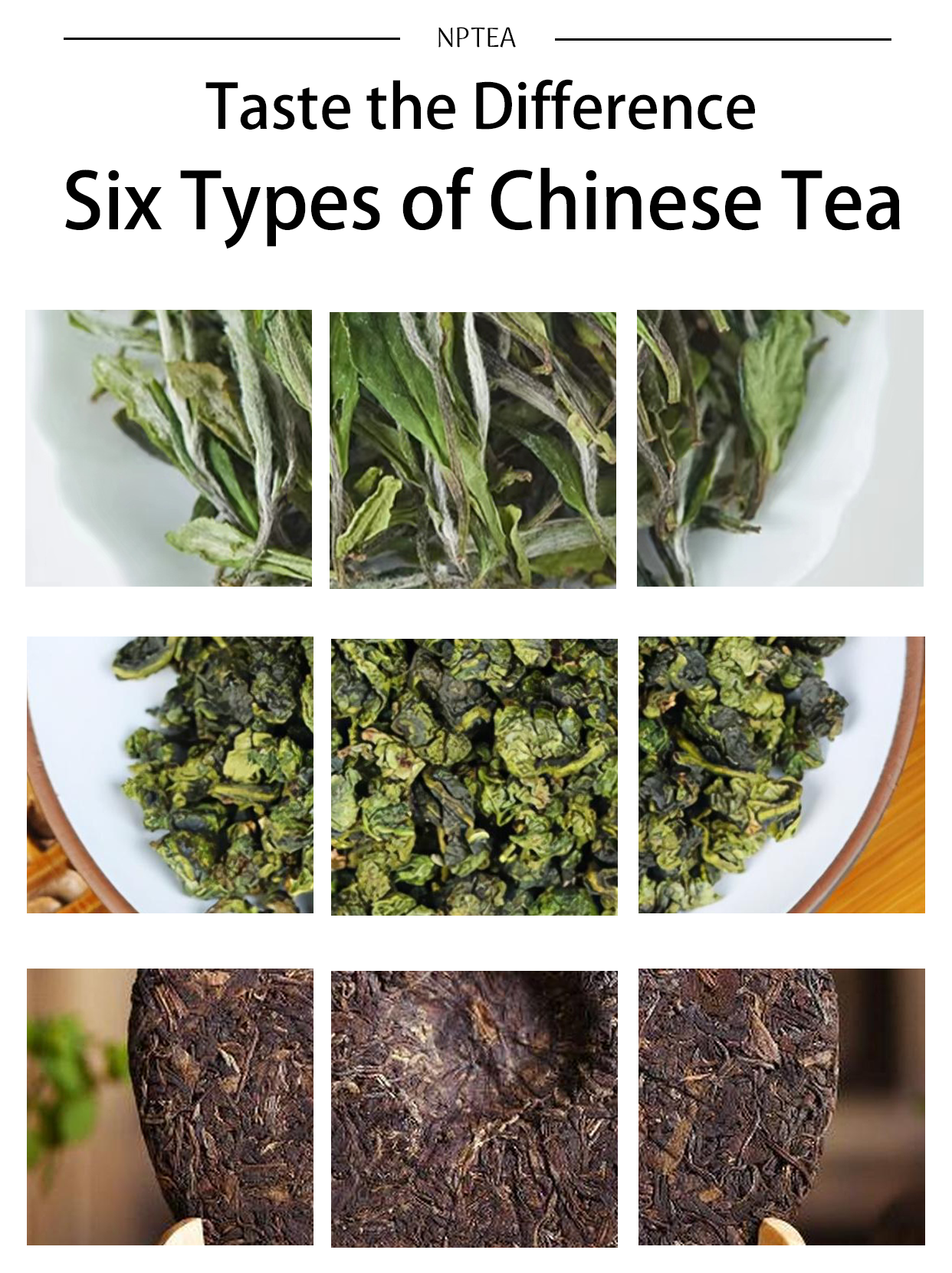 Six Types of Chinese Tea: Beginner's Guide | Processing, Flavors ...