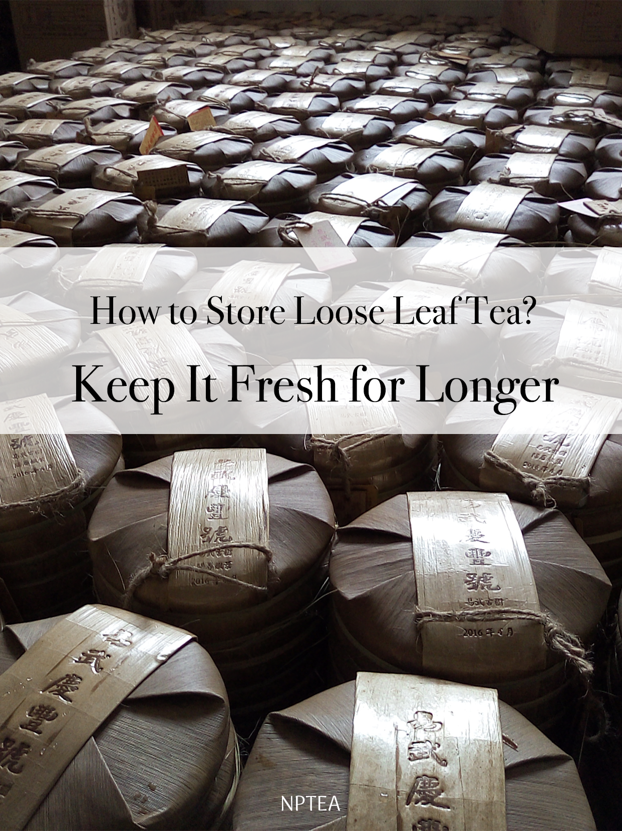 How to Store Loose Leaf Tea: Keep It Fresh for Longer – NPTEA