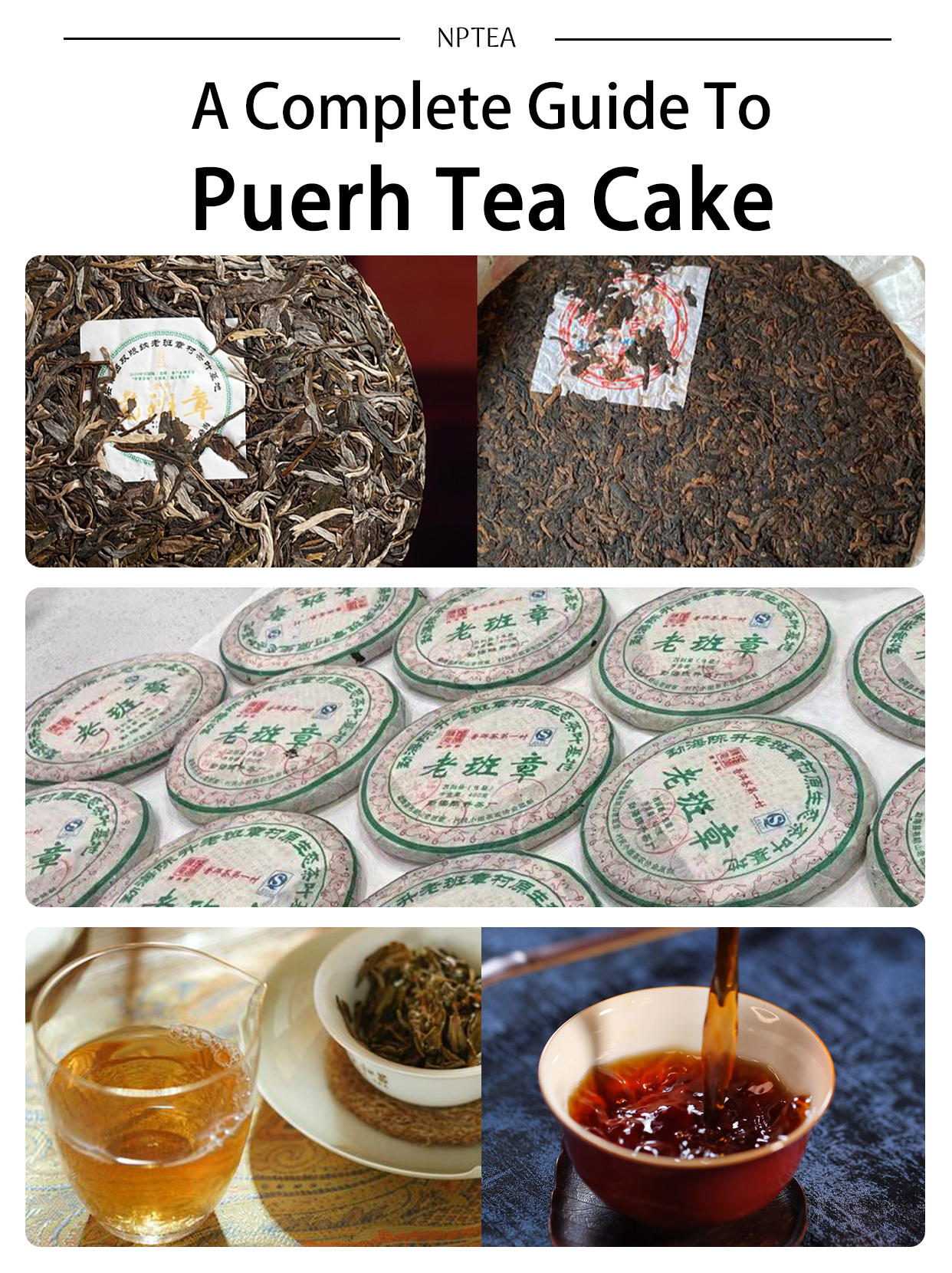 A Comprehensive Guide to Puerh Tea Cake: Puerh Types, Puerh tea ...